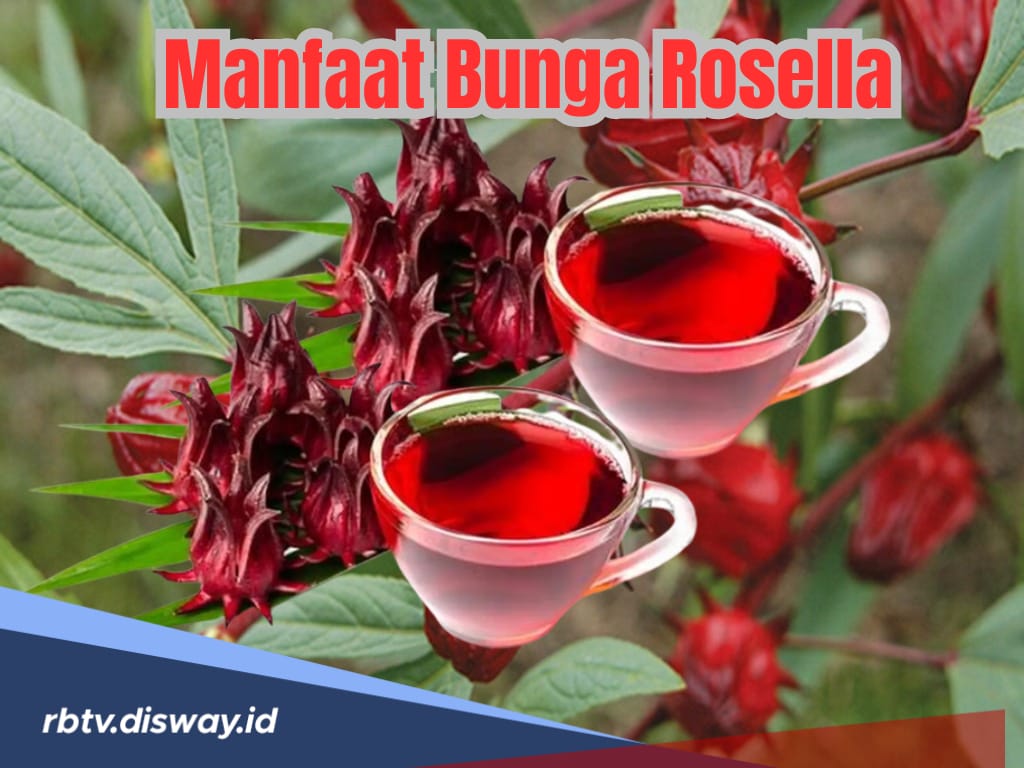 8 Manfaat untuk Kesehatan Tubuh Jika Rutin Konsumsi Teh Bunga Rosella
