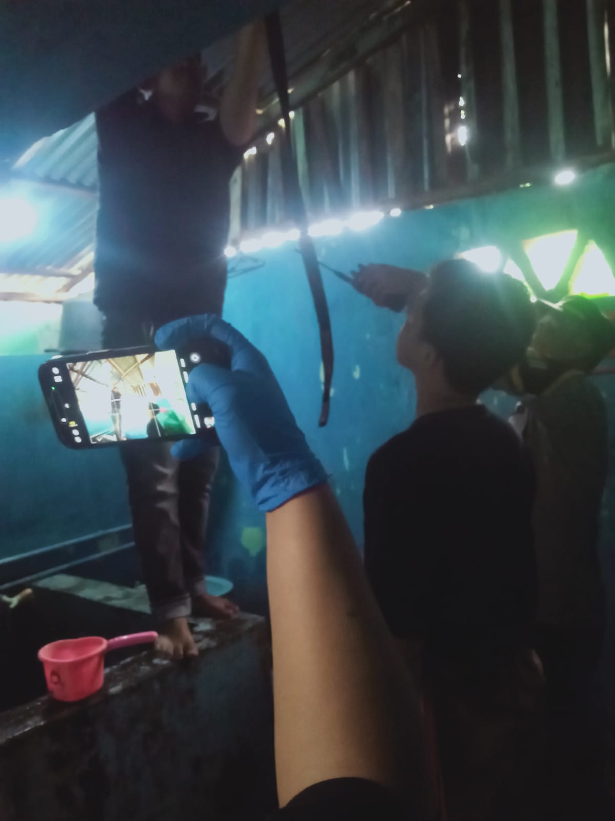 Tepat di Hari Ulang Tahun, Mahasiswa di Kota Bengkulu Ditemukan ...