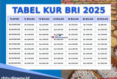 Tabel KUR BRI November 2025, Pinjaman Rp 1-200 Juta Angsuran Mulai Rp 21 Ribu, Bayar 5 Tahun